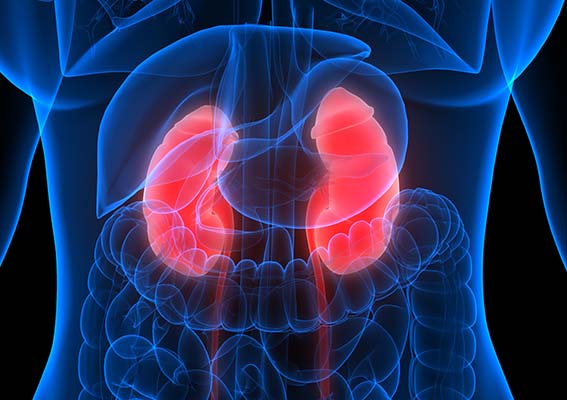 Kanagliflozyna w nefro-i kardioprotekcji u pacjentów z cukrzycą i ...